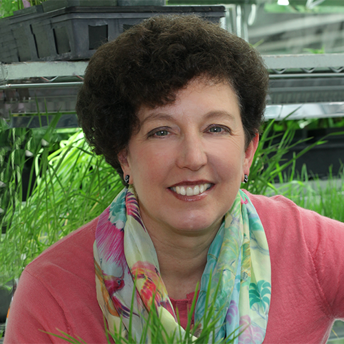 Startup Grind to Interview Dr. Pam Marrone | StartupSac